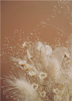 Brooklyn Renee Hair at Salt & Stone Salon - Grover Beach CA | Vagaro